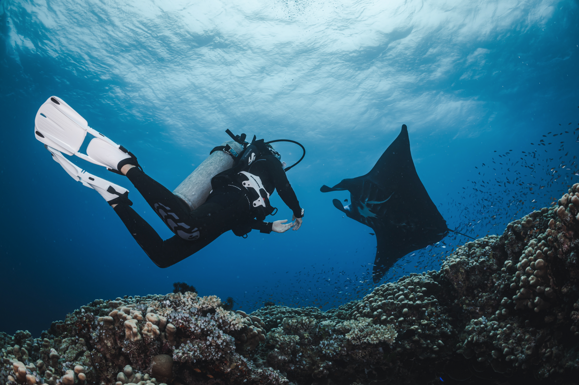 The Submersibles – Ocean Synthesis Pte Ltd